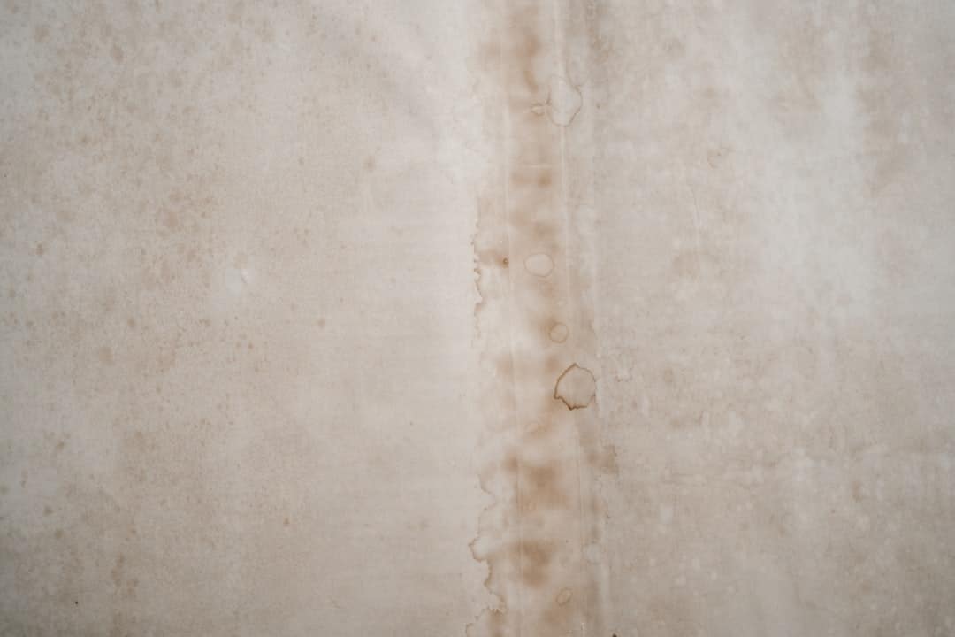 How to Spot Mold After Water Damage: A Homeowner’s Handbook – Stucco ...